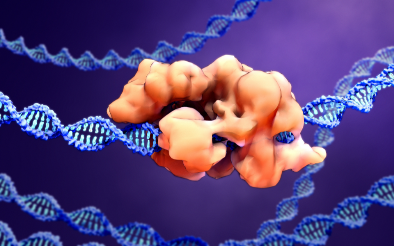 Descubriendo Fanzor: El Primer Sistema Similar a CRISPR en Organismos ...